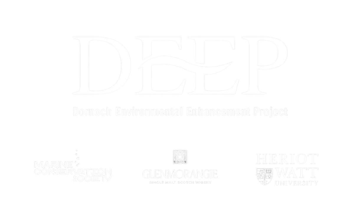 Glenmorangie | Our Commitments - DEEP