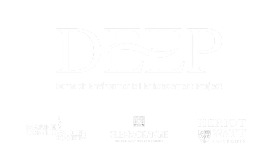 Glenmorangie | Our Commitments - DEEP